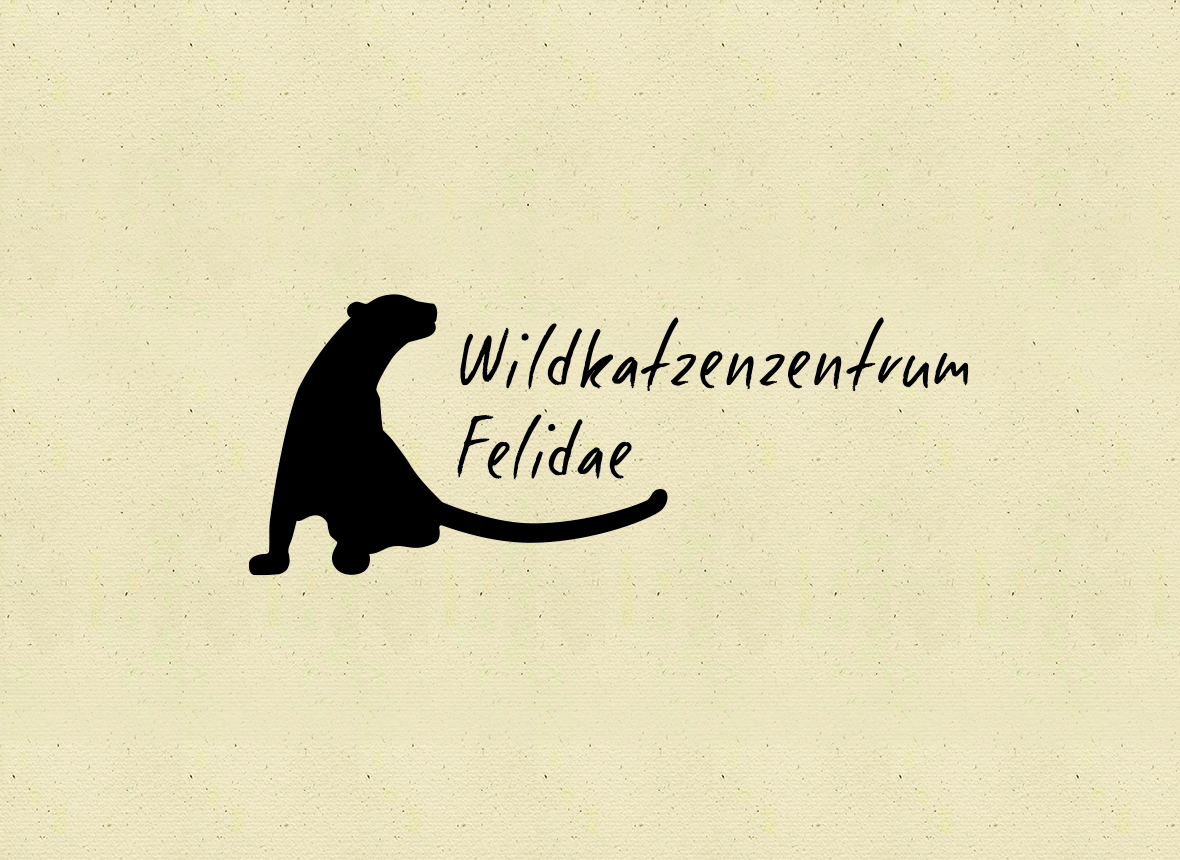 Felidae Corporate Identity - Elisabeth Katharina